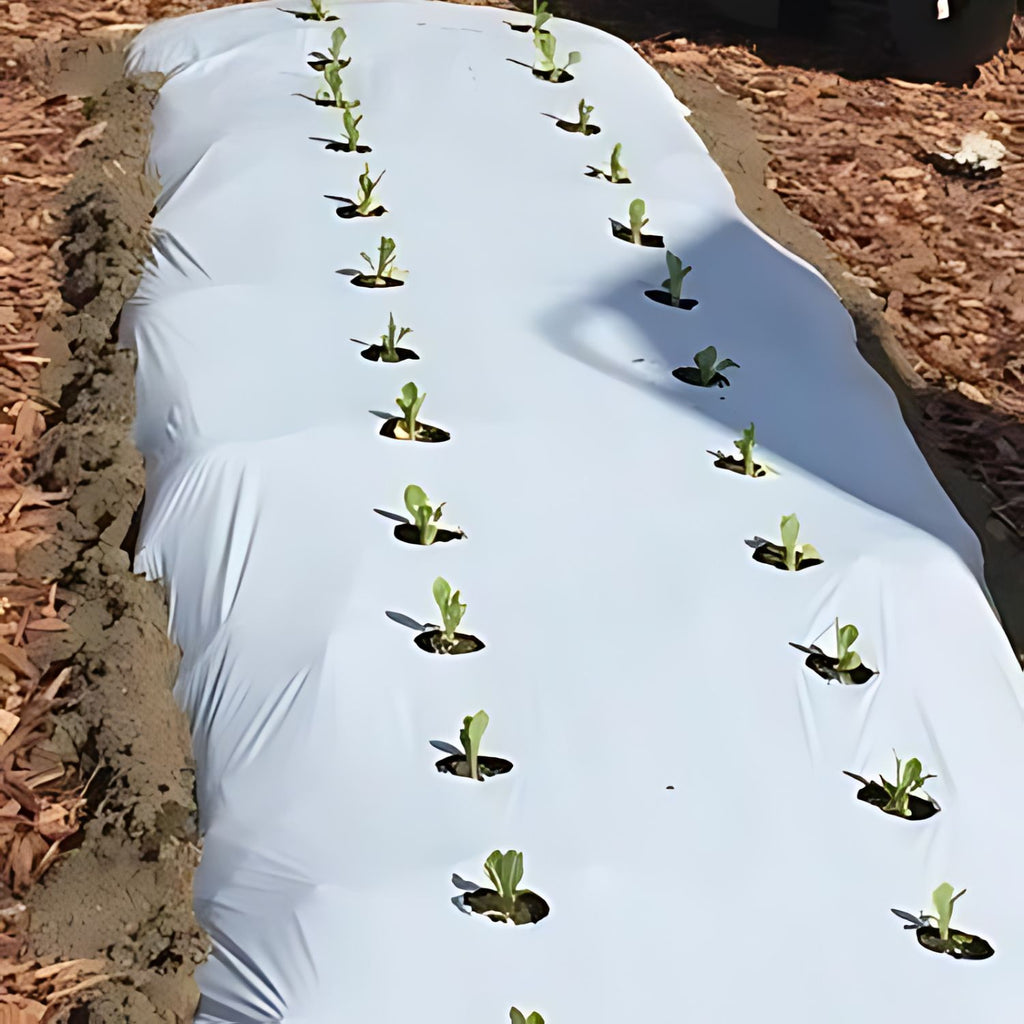 Pre-hole punched mulch film, pre-punched mulching film for vegetables,